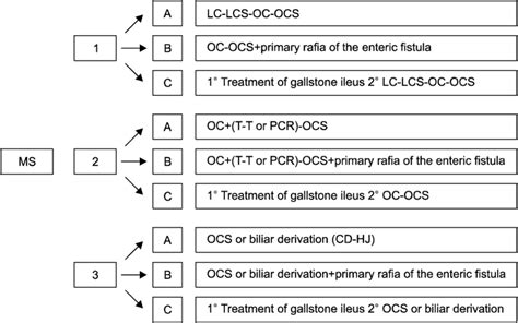 Classification Proposal And Surgical Treatment Of Mirizzi Syndrome Lc Download Scientific