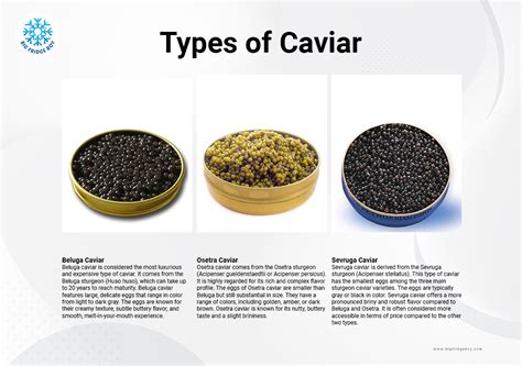 Beluga Sturgeon Caviar Taste