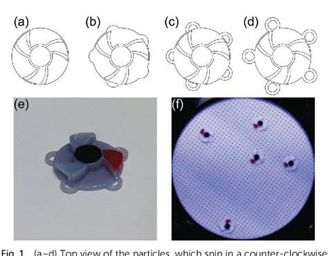 Figure 1 From Symmetry Reversals In Chiral Active Matter Semantic