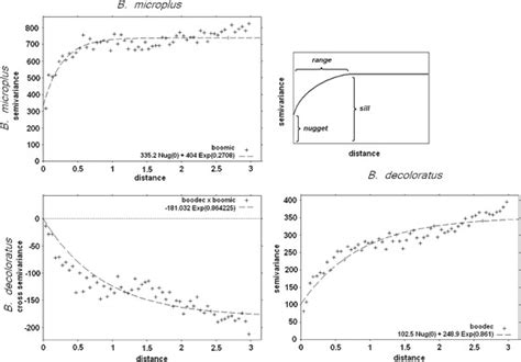 Spatial Correlation In Observations Of Cattle Infestation With B Download Scientific Diagram