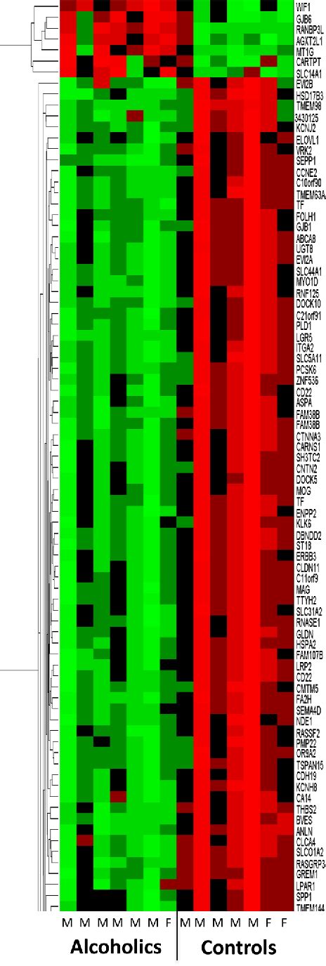 Figure 1 From Exon Microarray Analysis Of Human Dorsolateral Prefrontal Cortex In Alcoholism