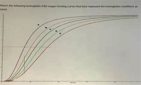 Solved Match The Following Hemoglobin Hb Oxygen Binding Chegg Com