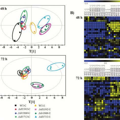 Pca Plots Of Gc Ms Metabolomic Profiles Gc Ms Metabolomic Profiles At Download Scientific