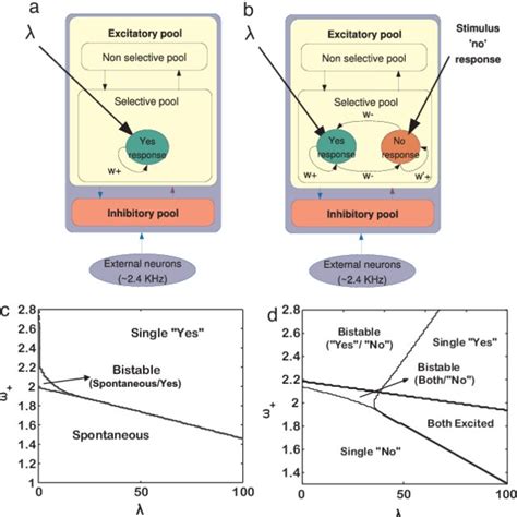 Network Architecture And Corresponding Bifurcation Diagrams Upper