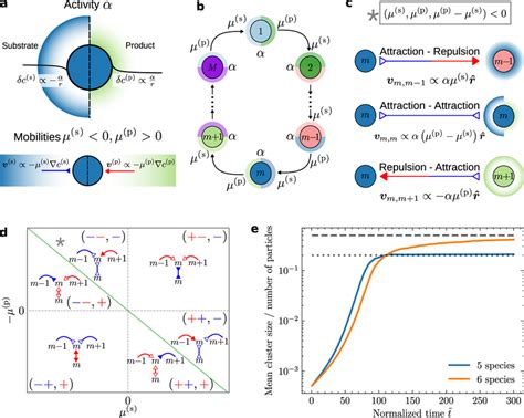 properties and interactions of catalytically active particles a the