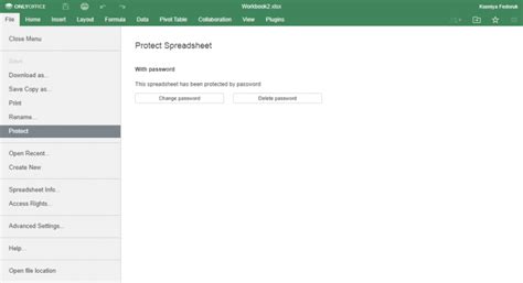 How To Password Protect An Excel File Onlyoffice Blog