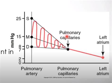 Phys Week 6 7 Resp Hemodynamics Gas Exchange Flashcards Quizlet