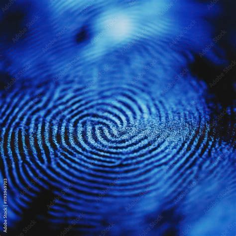 Detailed Blue Fingerprint Pattern On White Background Forensic Identity Biometric Security