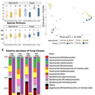 Summary of the fungal community diversity, structure and composition ...