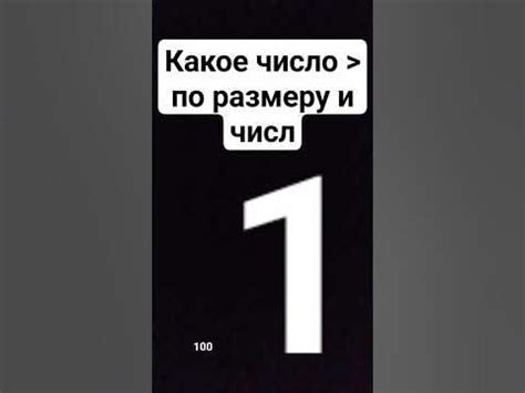 тест на тупость - YouTube