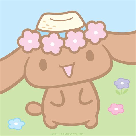 Cinnamorolls Friend Mocha In A Straw Hat Hello Kitty Drawing Sanrio