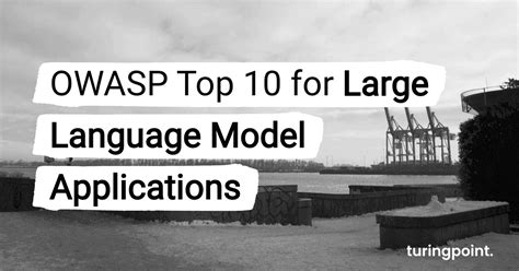 Owasp Top 10 For Large Language Model Applications Turingpoint