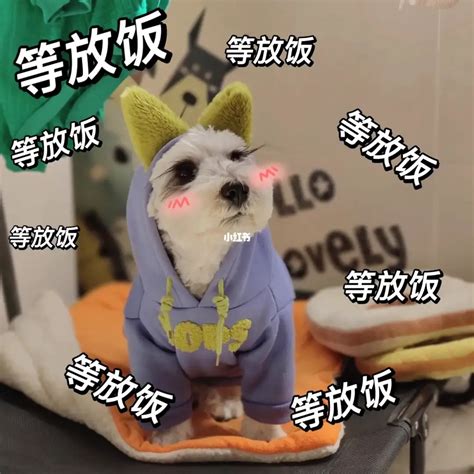 Image007 兔兔图床 免费高效图床，支持30mb图片上传 Tutu To