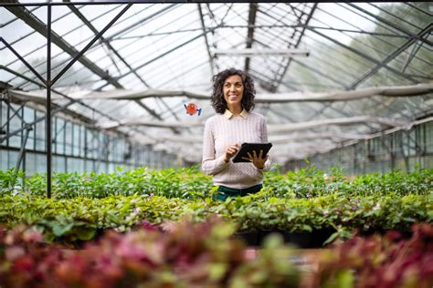 Linking Processes Using Uipath Orchestrator Queue Triggers Community Blog