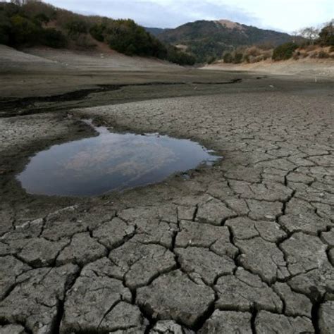 Climate Change Makes People Less Likely To Have Sex Dating News