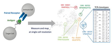 single cell explorations are underway and spatial is the next frontier