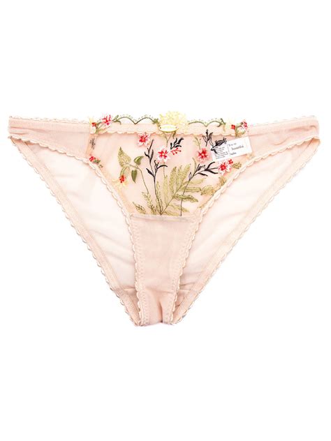 Finley Sheer Panty Sheer Lingerie Nette Rose