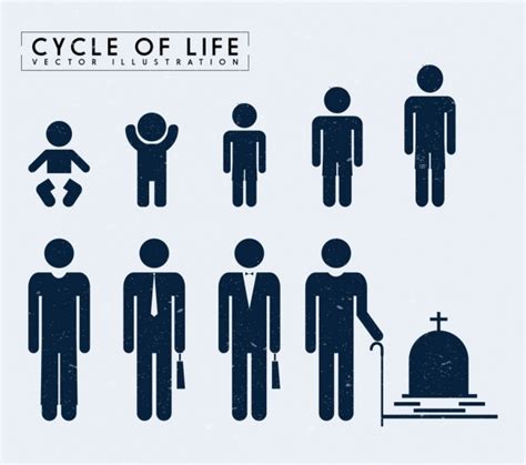 Life Cycle Banner Sequences Human Icons Silhouette Design Vectors Images Graphic Art Designs In