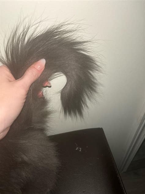 My Neb Has Been Swatting And Biting The End Of His Tail Often For The