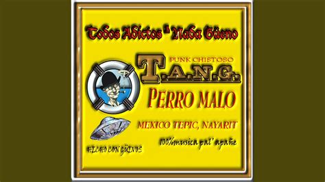 Cherito Pedorro Youtube Music