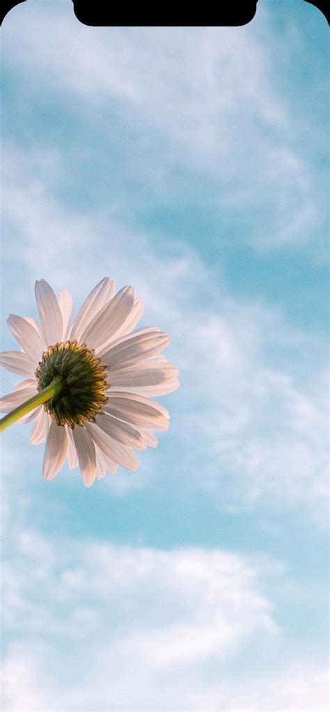 Flower Lockscreen