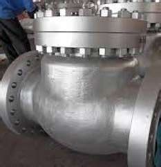 Duplex Check Valve UNS S31803 Wafer Swing Check Valve