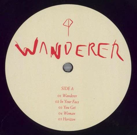 Cat Power Wanderer Uk Vinyl Lp Album Lp Record 823876