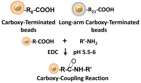 Carboxyl Activated Europium Fluorescence Magnetic Beads