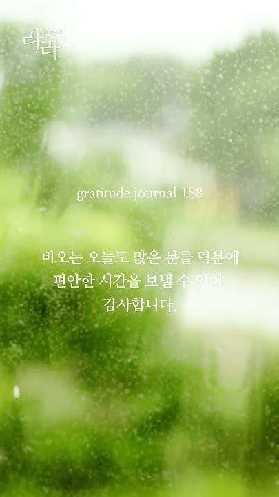 감사일기 188 비오는 오늘도 많은 분들 덕분에 편안한 시간을 보낼 수 있어 감사합니다 감사일기 마음공부 자기사랑 끌어당김 끌어당김의법칙 동기부여 Youtube