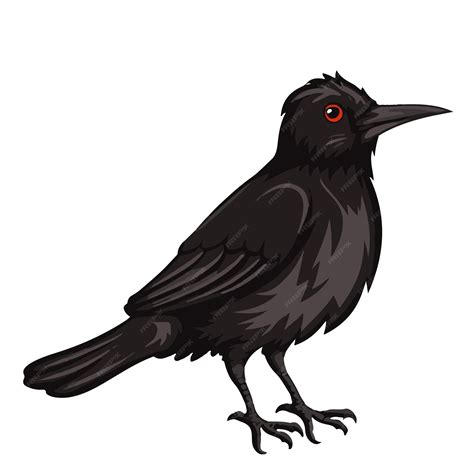 귀여운 까마귀 일러스트레이션 프리미엄 벡터