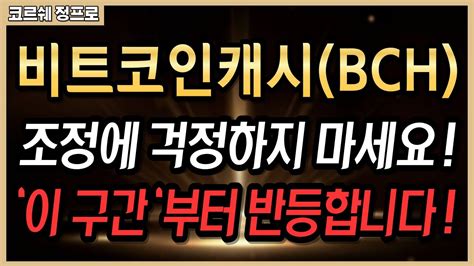 🔥비트코인캐시🔥 조정에 걱정하지 마세요 이 구간부터 반등합니다 Youtube