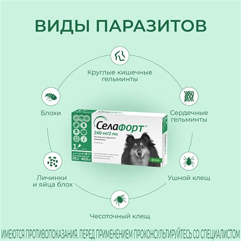 Селафорт 240мг/2мл капли на холку для собак 20,1-40 кг, 1 пипетка, KRKA ...