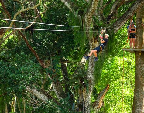 Fly High Zipline And Secret Blue Hole Adventure Ocho Rios Jamaica