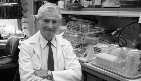 Albert Kligman Alchetron The Free Social Encyclopedia