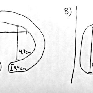 Schematic Drawing Of Rufous Breasted Piculet Picumnus Rufiventris Nest