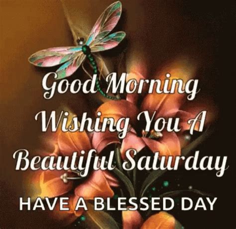 Saturday Positive Quotes  Alphonso Calderon