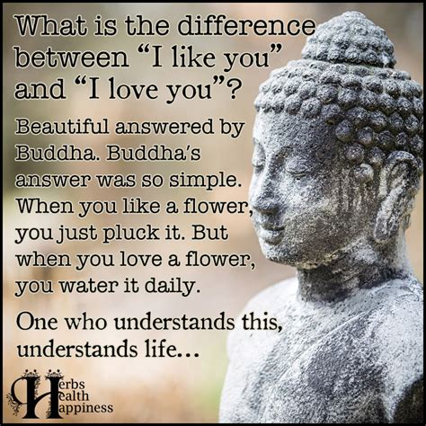 What Is The Difference Between I Like You And I Love You ø Eminently Quotable Quotes Funny