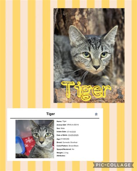 Valley River Valley River Humane Society Animal Shelter