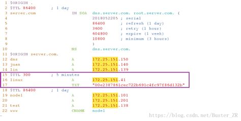 linux菜鸟成长日记 （ linux 企业级域名解析服务器部署 dns ） nsupdate refuse csdn博客