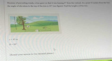solved because of prevailing winds a tree grew so that it was leaning