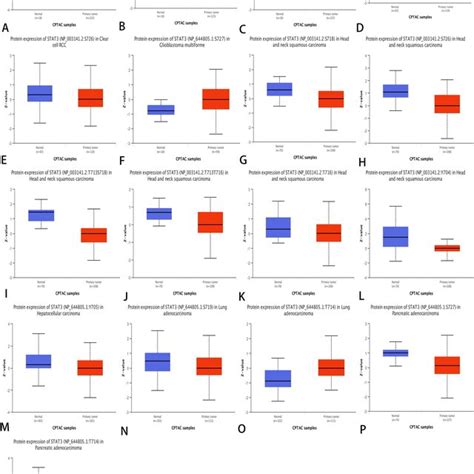 Stat3 Tumor Associated Protein Phosphorylation Of Stat3 Box Plot