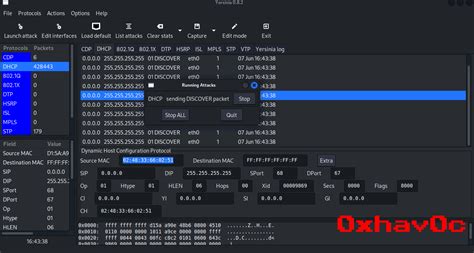 DHCP Pentesting Best Practices Secybr Penetration Testing Red Teaming And Hack Tricks