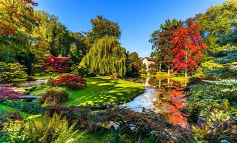 Parce Que Printemps Rime Avec Art Et Fleurs Voici Les Plus Beaux