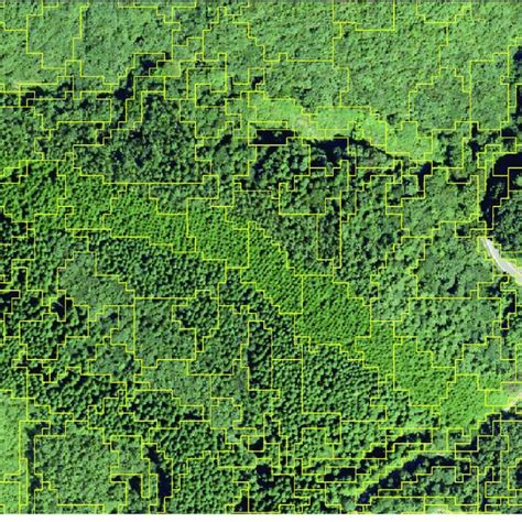 B Segmentation Result Using Both Low And High Resolution Images Download Scientific Diagram