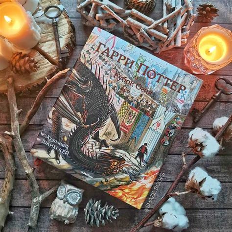 Гарри Поттер и кубок огня - Роулинг | Обзор книги | shaze_books ...
