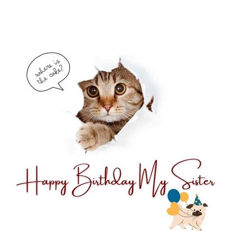 Funny Happy Birthday For Sister