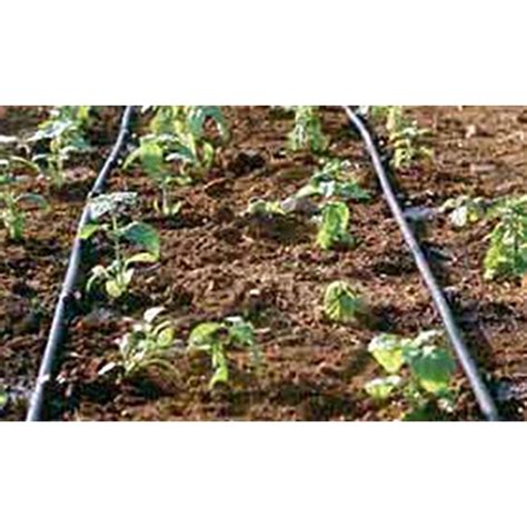 Plastic Drip Irrigation System At Best Price In Kolkata Banabethi