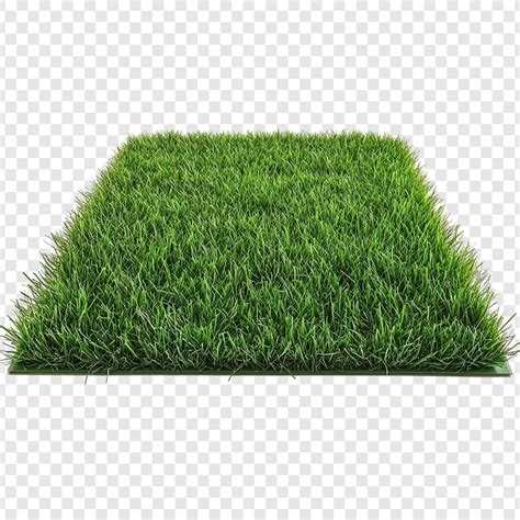 Grass No Background Images Free Download On Freepik