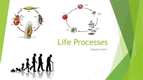 Life Processes Unit 1 1pptx