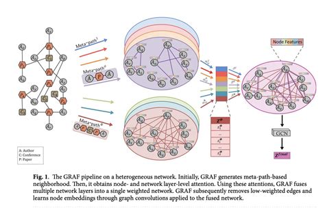 Graf A Machine Learning Framework That Convert Multiplex Heterogeneous Networks To Homogeneous
